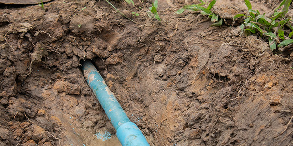 What Is Service Line Coverage | Plymouth Rock