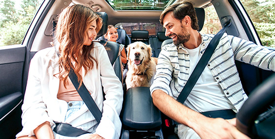 Camden, New Jersey Car Insurance | Get a quote - Plymouth Rock